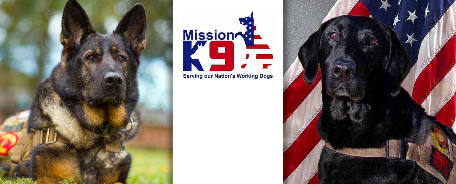 Celebrating K9 Veterans Day - Join the Mission! – Muenster Pet