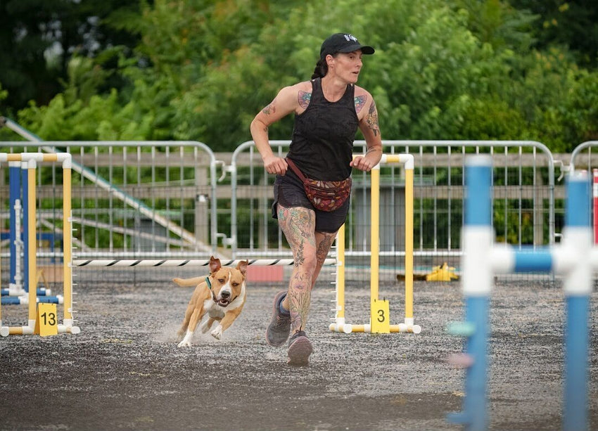 Muenster Pet | Premium Dog Food & Treats