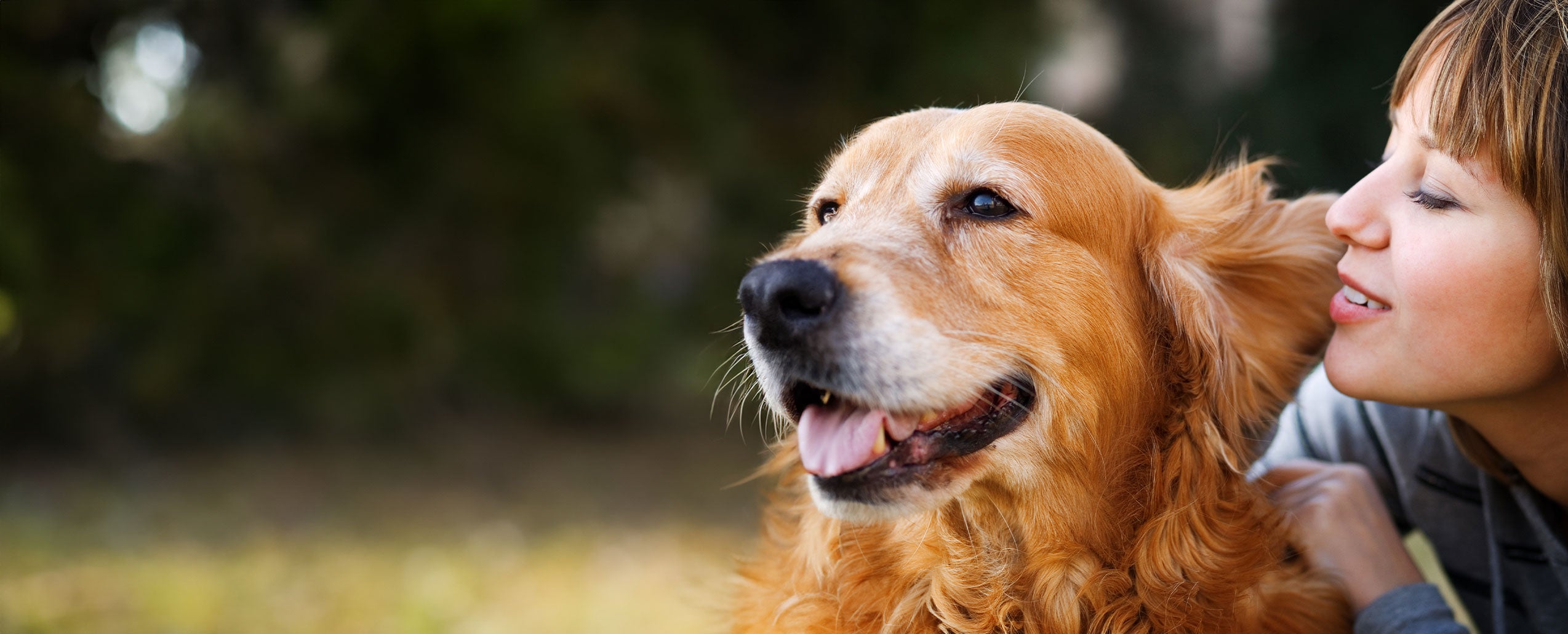 Muenster Pet: Premium Dog Food & Treats